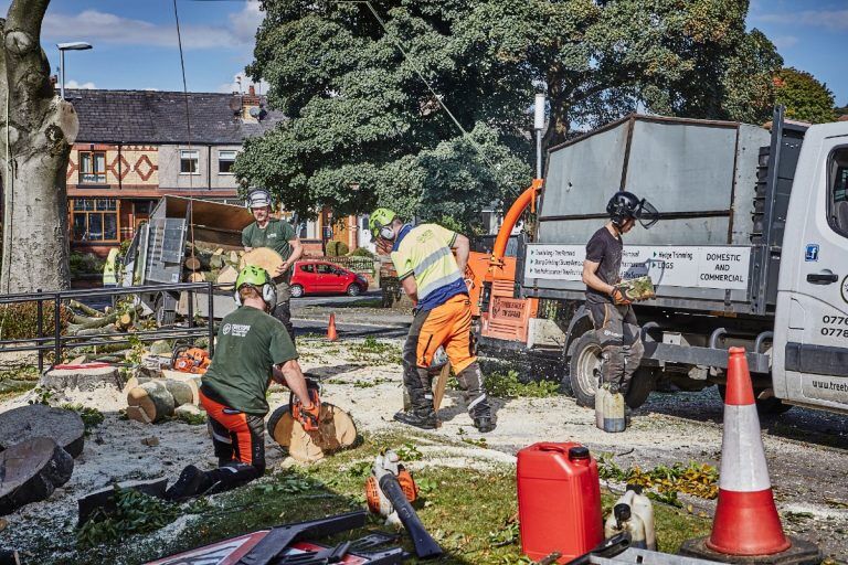 Burnley Tree Surgery Quotes | Clear, Fair Pricing | Treetops